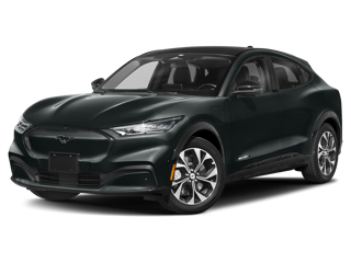 Sam Galloway Ford Showroom | Buy Ford Near Port Charlotte, FL